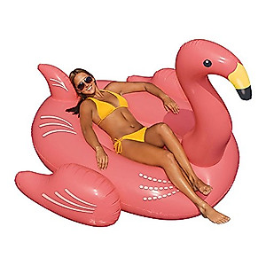 Swimline Golden Goose/Swan/Flamingo/Parrot Floats for Swimming Pools (4 Pack)