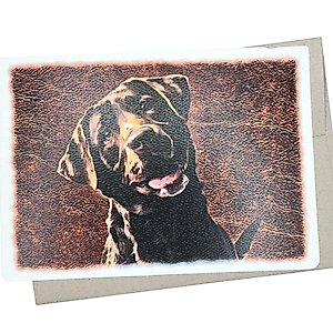 Groomers Margins Chocolate Lab Card with Envelope (7X5 Inches and Blank Inside for All Occasions) Chocolate Labrador Retriever Card from Dog, Birthday Card, Thinking of You Notecard, etc. - 192
