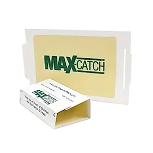 Full Case of 72 Catchmaster Mouse/Spider/Insect/Scorpion Glue Board Sticky Traps Peanut Butter Scent