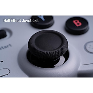 8Bitdo Pro 2 Bluetooth Gamepad for Switch/Switch OLED, PC, macOS, Android, Steam & Raspberry Pi with Storage Case (Gray Edition)