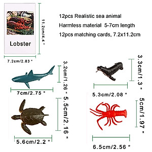 12 pcs Ocean Sea Animal Figures with 12pcs Matching Cards - OOTSR Ocean Creatures with Flash Cards for Education, Insect Themed Party, Playtime and Treasure Hunt