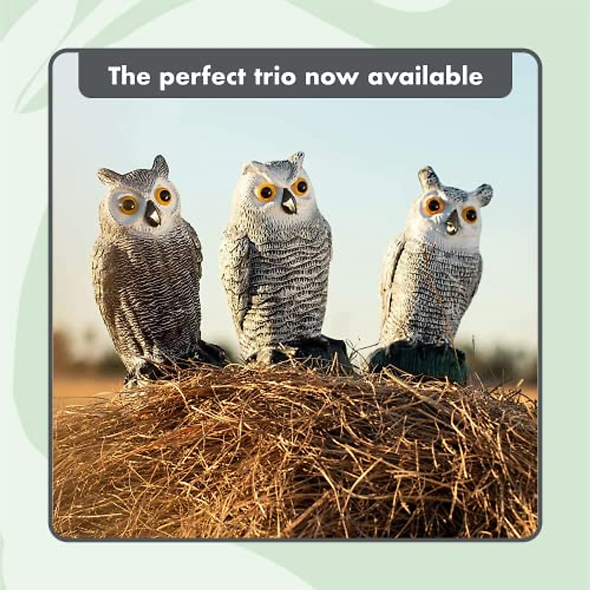 Fake Owl Decoy and Bird Deterrent - Set of 3 Plastic Owl to Scare Birds Away - Effective Bird Deterrent Devices as Scarecrow for Garden - Bird Repellent Devices Outdoor, Keep Birds Away!