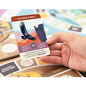 Americanflat National Park Adventure Board Game for Family and Kids Ages 7 & Up, 2-6 Players with Artwork by Anderson Design Group