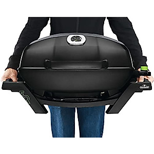 Napoleon Propane Gas Grill