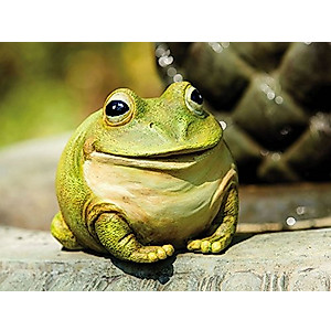 Evergreen Cute Portly Frog Outdoor Statue and Secret Key Holder | Weatherproof and Outdoor Safe | Garden Sculpture | Porch Garage or Patio Home Decor | 6 Inches Tall
