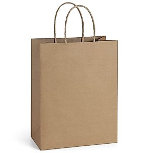 BagDream Gift Bags 8x4.25x10.5 25Pcs Kraft Paper Bags, Shopping Bags, Merchandise Retail Grocery Bags, Brown Paper Gift Bags Bulk with Handles 100% Recyclable Paper Bags Sacks