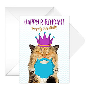 Funny Cat Pun Birthday Card Pack / 24 Cat Birthday Cards With White Envelopes / 4 7/8" x 3 1/2" Cats Birthday Note Cards/Hilarious Cute Kitten Birthday Greeting Cards