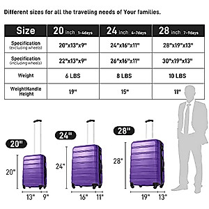Merax Luggage Sets of 2 Piece Carry on Suitcase Airline Approved,20/28 IN Hard Case Expandable Spinner Wheels (Purple)