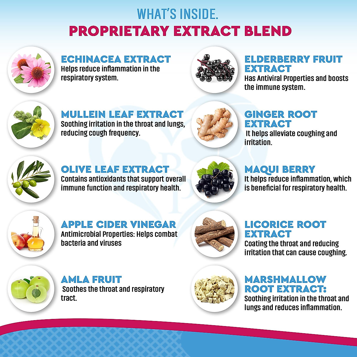 Kennel Cough Treatment & Natural Infection Medicine for Dogs & Cats - Respiratory & Cold Cough Relief - Collapse Trachea & Cat Asthma Support - Made in USA