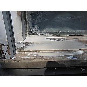 Abatron WoodEpox Kit - 12 oz - 2-Part Structural Epoxy Adhesive Filler - Wood Filler Putty