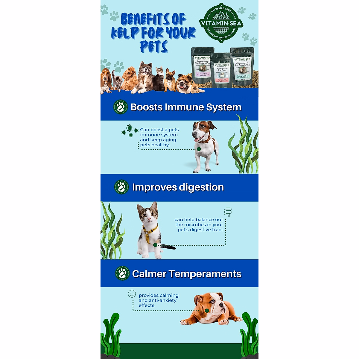 VITAMINSEA Micronutrients for Dogs | Dried Norwegian Kelp Seaweed Supplement | All Natural Food Additives | Rockweed Flakes w/Glucosamine, Chondroitin, White Willow Bark | Bone & Joint Health | 6 oz