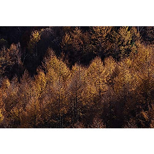 HD PENTAX-D FA 70-210mm F4ED SDM WR: Telephoto zoom lens for DSLR cameras High-performance while maintaing constant f/4 aperture Weather-resistant construction min. focusing distance of 0.95 meters