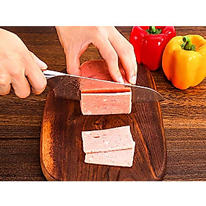 WELLSTAR Santoku Knife, Damascus Steel Kitchen Knife 7 Inch, Japanese AUS10 High Carbon Steel 67-Layer Blade Full Tang with Ergonomic G10 Handle, Razor Sharp Chefs' Knife - Gift Box