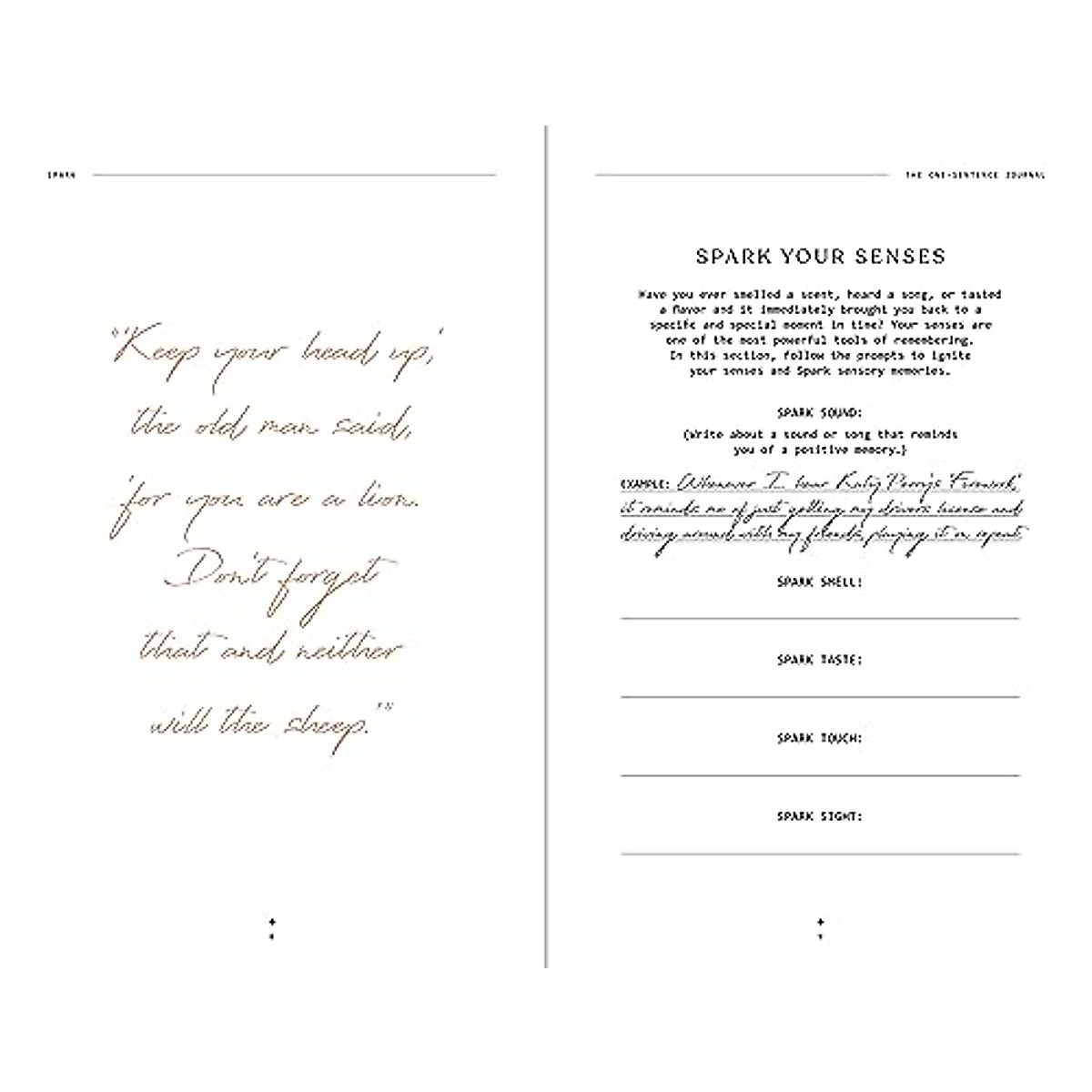 Spark: The One-Sentence Journal