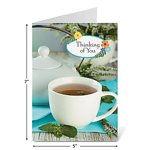 Current Modern Messages All Occasion Value Pack With Seals-40 Cards & Envelopes, Celebration, Get Well, Sympathy, Birthday, Holiday, & Thinking of You Variety, Large 5" x 7" Assortment, 20 Design Set