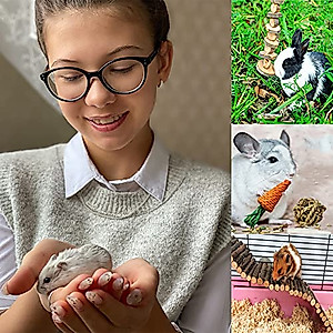 Syhemtya Chinchilla Toys Hamster Chew Toys Guinea Pig Toys Rat Toys Hamster Cage Accessories Small Animal Teeth Care Apple Wooden Accessories Set,Ball Ladder Bridge Swing Roller for Playground