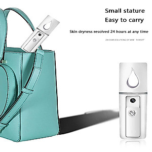 Nano Mist Sprayer - Makina Usb Charging Handheld Facial Beauty Skin Care Products Big Water Tank Ultrasonic Moisturizing Mini Nano Mister (L2White)