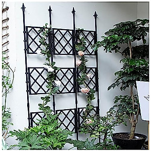 NOIRDA Outdoor Mesh Flower Stand, Rose Trellis with PE Grid, 130cm, 180cm,220cm Height Garden Climbing Frame for Flower Bed Lawn Patio Privacy Decoration (Color : Black, Size : 30x220cm)