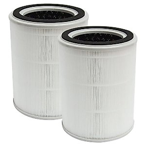 Homeland Goods Replacement Filter Toppin TPAP001 Air Purifier, 4-in-1 Pre-Filter, H13 True HEPA Filter, ap001 Allergen Absorber Air Filter 2 Pack