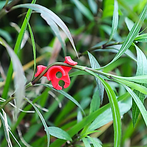 LucyPhy 30 Pack Plant Bender Angle Adjustable Plant Training Clips Low Stress Training Clips 90 Degrees Plant Stem(Circle Style,Red)