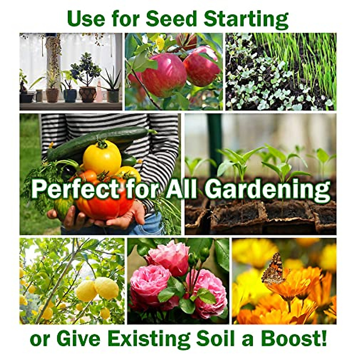 WONDER SOIL | Organic Coco Coir Brick/Block | Ready to Plant Compressed Coco Coir Fully Loaded with Nutrients | 10 LBS Block Expands to 2.5 Cu Ft | Incl Worm Castings & Nutrients