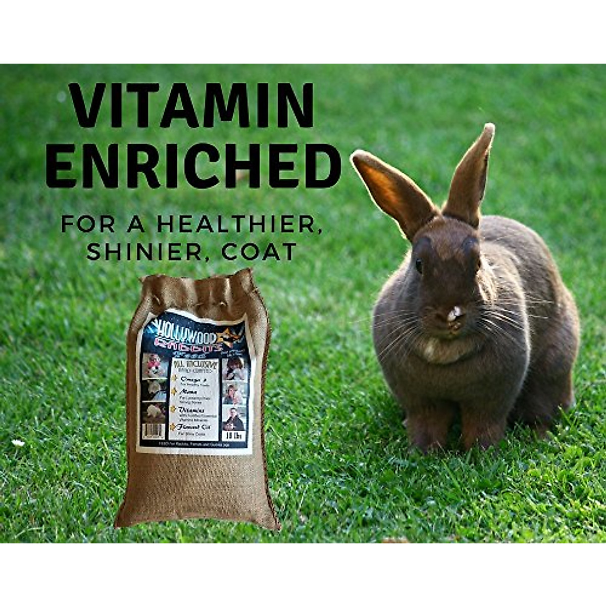 Hollywood Rabbits Feed - 9 Lb. Premium Feed | Hand Crafted High-Fiber | Probiotics for Digestive Health