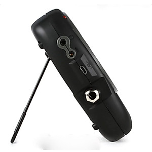 Peterson Guitar Pedal Tuner (403885)