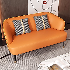 Couch for Living Room Nordic Simple Sofa Small Apartment Living Room Modern Clothing Store Double Cat Claw Fabric Sofa Light Luxury Sofa Sleeper Samll Sofa