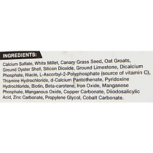 Zoo Med Mineral Block Original Formula Banquet Bird Food, 5-Ounce