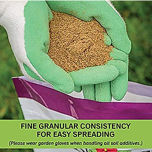 Burpee 99822 Organic Bone Meal Fertilizer, 2 Pack