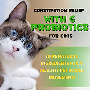 Cat Constipation Relief, 2 Fl Oz Constipation Relief for Cat, Cat Laxative, Cat Laxative Constipation Relief, Stool Softener, Supports Digestive Health