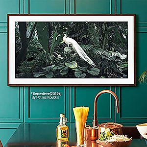 SAMSUNG QN50LS03BA 50 inch The Frame QLED 4K UHD Quantum HDR Smart TV (2022) Bundle 50" Customizable Bezel Modern Brown