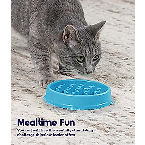 Catstages Kitty Slow Feeder Cat Bowl, Blue