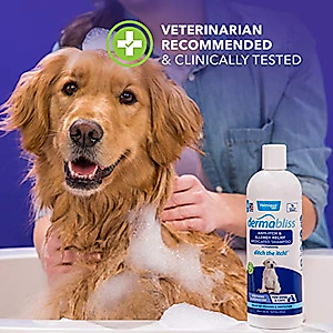 Vetnique Labs Dermabliss Dog Allergy and Itch Relief, Skin and Coat Health Supplements and Grooming Supplies with Omega 3-6-9, Biotin - Ditch The Itch (Itch Relief, 16oz Shampoo)