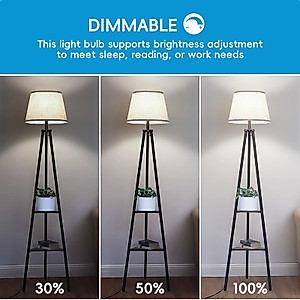 Jensense Edison LED Light Bulbs 8Watt Dimmable Light Bulbs 5000K Daylight White, E26 LED Bulb 60watt Equivalent, LED Vintage Bulbs 800lm CRI 90 Clear Glass 6 Packs