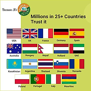 Indus Valley Natural Organic Damage Free Permanent Gel Hair Color, Ammonia Free, Vegan, Cruelty Free, Up to 100% Gray Coverage |Doctor Recommended| Bio Natural Certified- Black 1.0 (20gram+200ml) Pack of 1