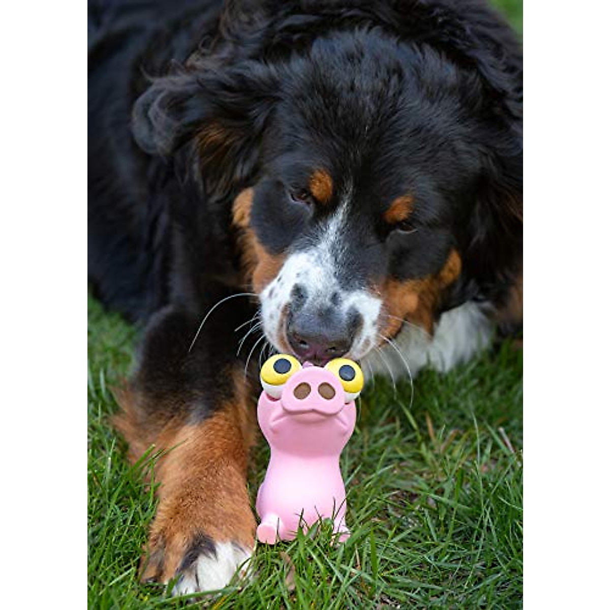 Hartz Bug Eyes Dog Toy - 1 Random Toy