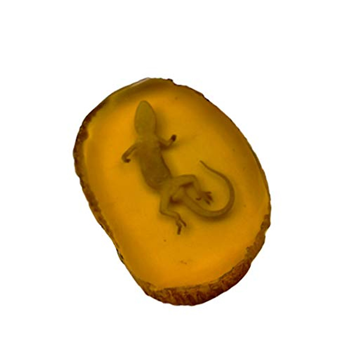 Garneck Amber Fossil Insect,Artificial Amber Insect Specimen Pendant Butterfly Scorpions Insects Amber Stone Ornament for Collection(Gecko)