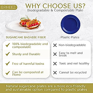 brheez 6 in Disposable Plates Paper Plates Alternative Compostable Plates Heavy Duty [Pack of 60] Eco-Friendly 100% Plant Fiber Biodegradable