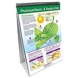 NewPath Learning 10 Piece Mastering Middle School Life Science Curriculum Mastery Flip Chart Set, Grade 5-9 Multi, 12 L X 18 W in