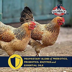 Kalmbach Feeds 1 Piece Layer Pellets, 50 Lb