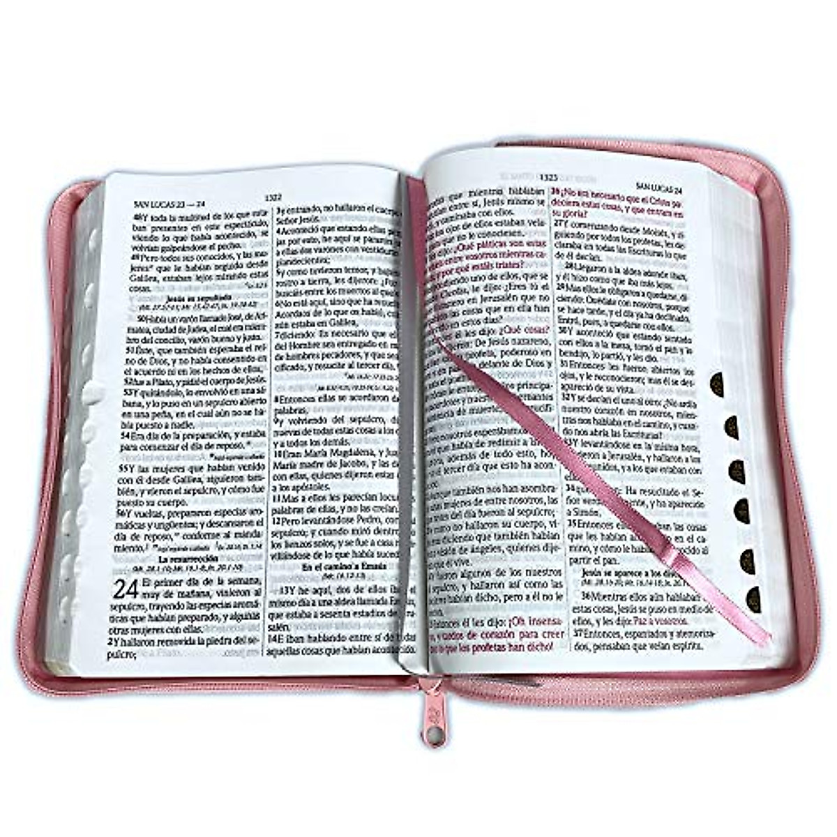 Biblia para Mujer con Cierre Letra Grande 12 puntos Concordancia Amplia Reina Valera 1960 rosada con indice