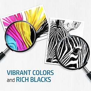 HP 982A | PageWide Cartridge High Yield | Cyan | T0B23A