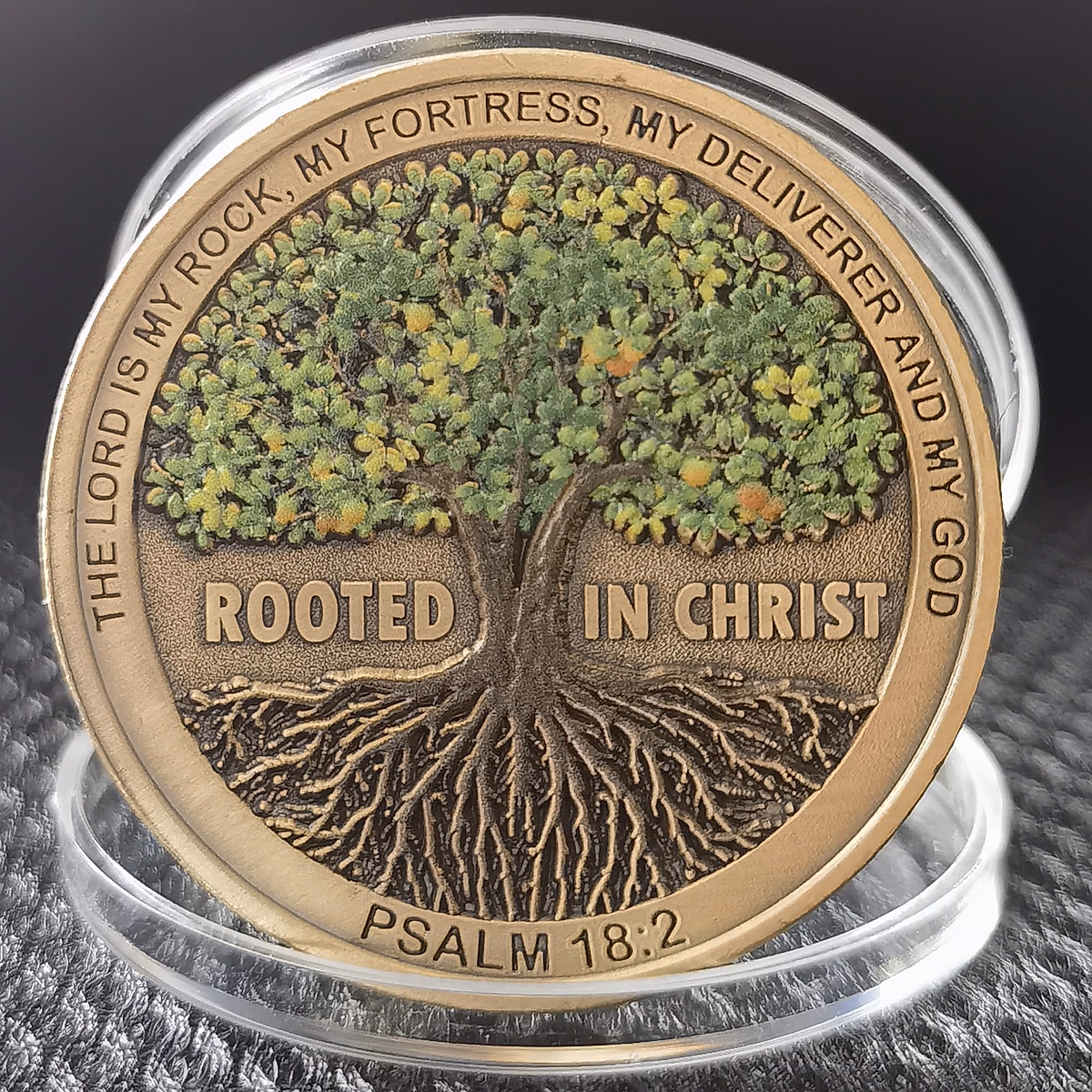 Rooted in Christ The Lord is My Rock, My Fortress, My Deliverer Faith-Based Christian Challenge Coin Bible Verse Gift (Single Coin)