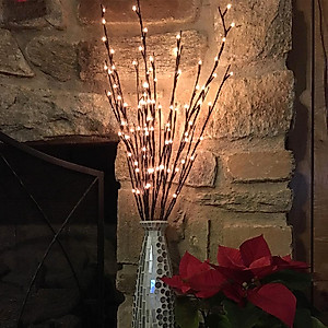 The Light Garden WLWB96 Electric/Corded Willow Branch with 96 LED Lights, 40 Inch