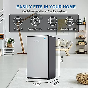 Frestec 3.1 CU' Mini Refregiator, Compact Refrigerator, Small Refrigerator with Freezer, Silver (FR 310 SL)