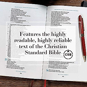CSB Day-by-Day Chronological Bible, TradePaper, Black Letter, 365 Day, One Year, Reading Plan, Single-Column, Easy-to-Read Bible Serif Type