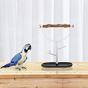 PATKAW Outdoor Toys Outdoor Toys Outdoor Playset 2 Pieces Bird Perches, Wooden Parrot Wooden Perch Bird Perch Training Standing Rack Parrot Stand Branch Outdoor Toys Outdoor Playset Wooden Toys