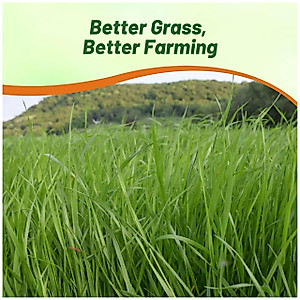 Outsidepride 25 lb. Annual Ryegrass Hay, Forage, & Pasture Seed