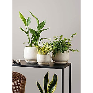 LE TAUCI Plant Pots, 4.1+5.1+6.5 inch, Set of 3, Ceramic Planters with Drainage Hole and Saucer, Indoor Flower Pot with Hole Mesh Pad, Gifts for Mom, Reactive Glaze Beige